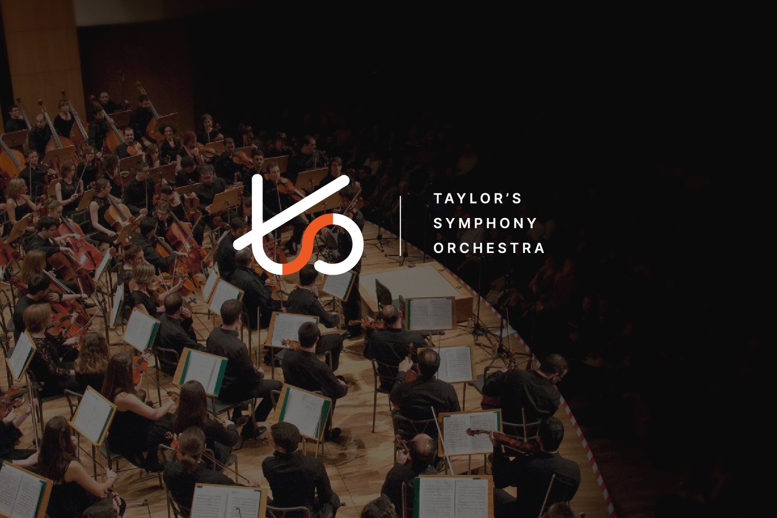 Taylor's Symphony Orchestra - Quintagen Projects & Portfolios